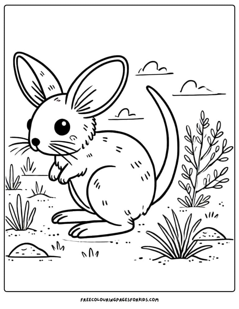 23 Australian Animal Coloring Pages