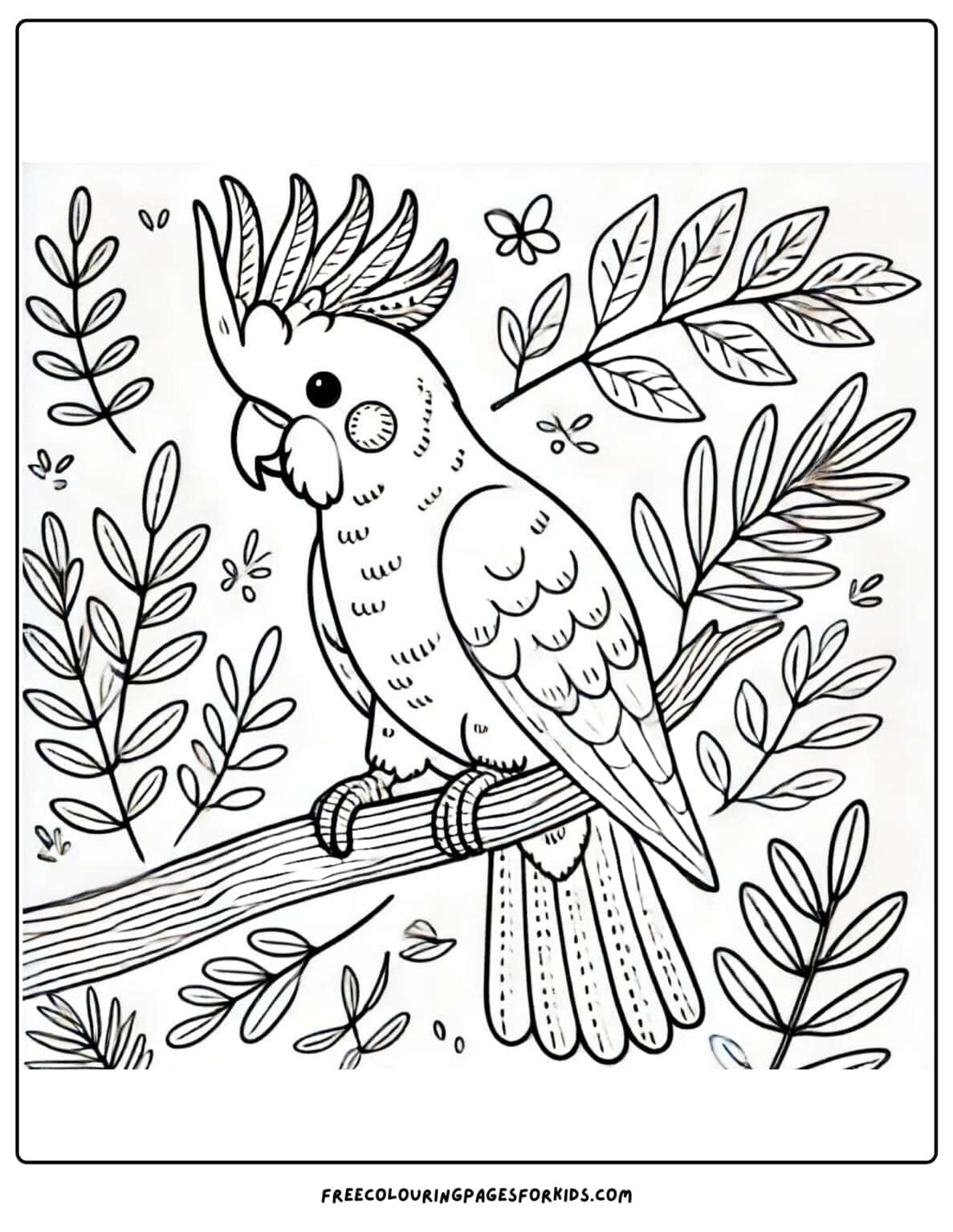 23 Australian Animal Coloring Pages