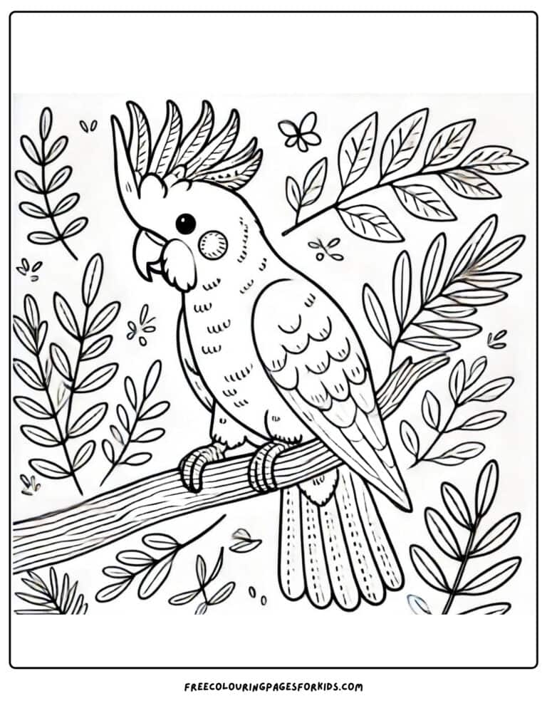 23 Australian Animal Coloring Pages