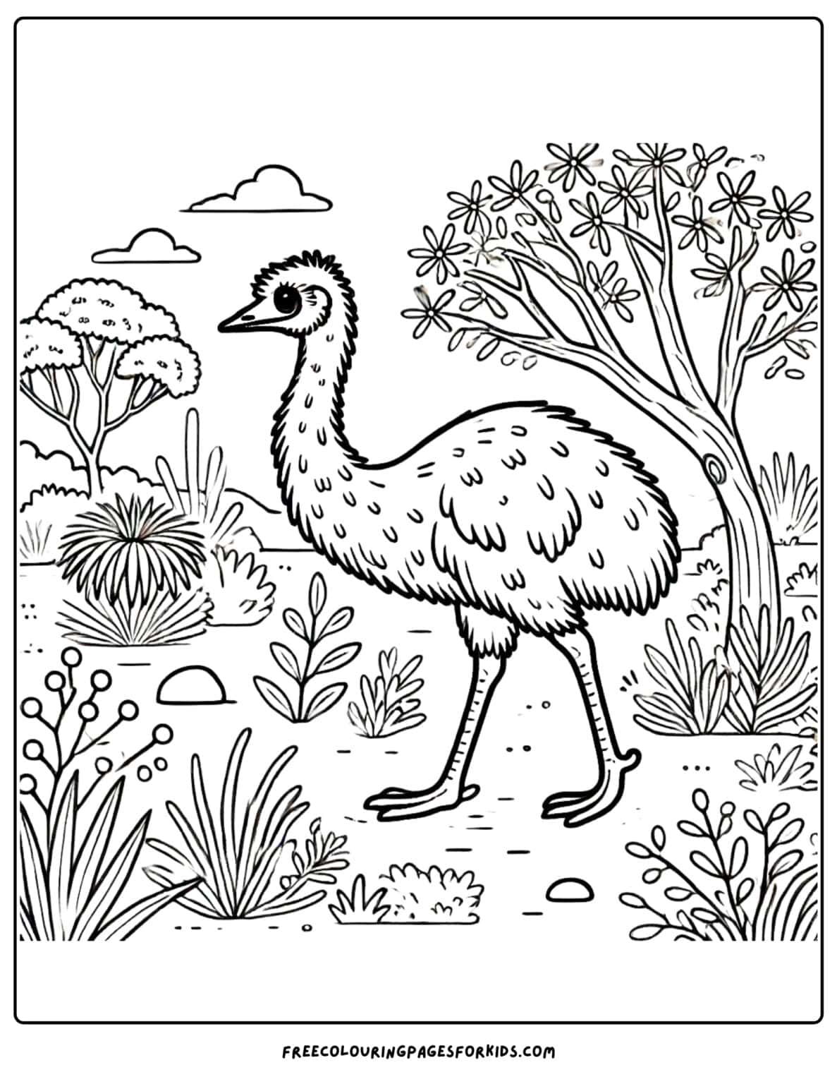 23 Australian Animal Coloring Pages