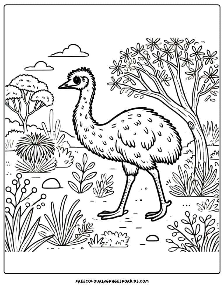 23 Australian Animal Coloring Pages