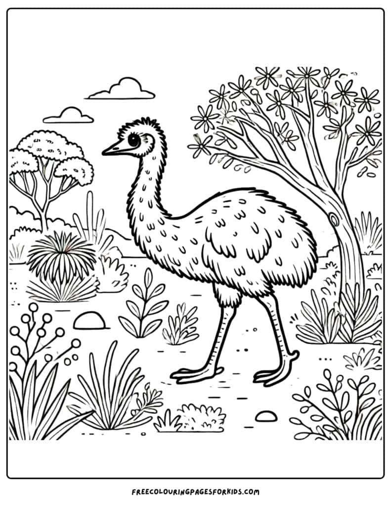 23 Australian Animal Coloring Pages