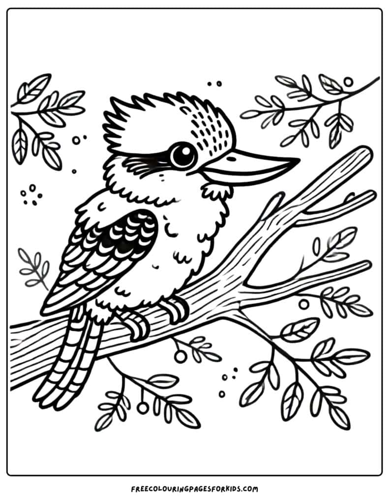23 Australian Animal Coloring Pages