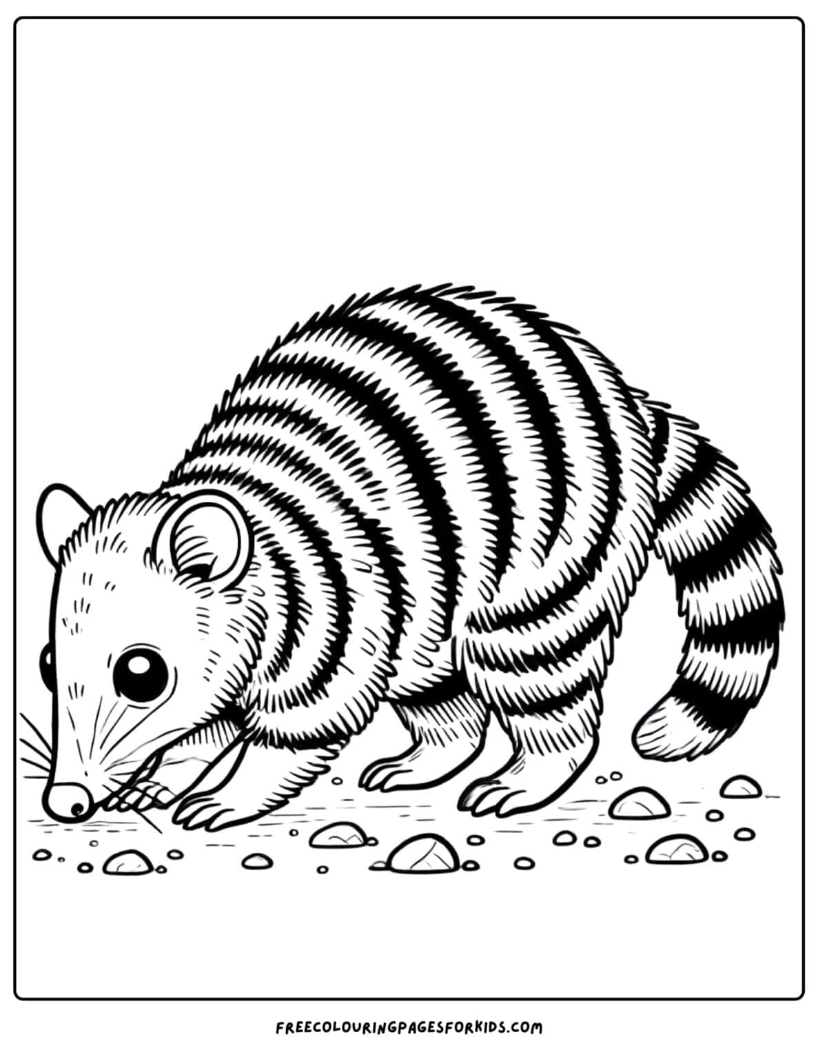 23 Australian Animal Coloring Pages