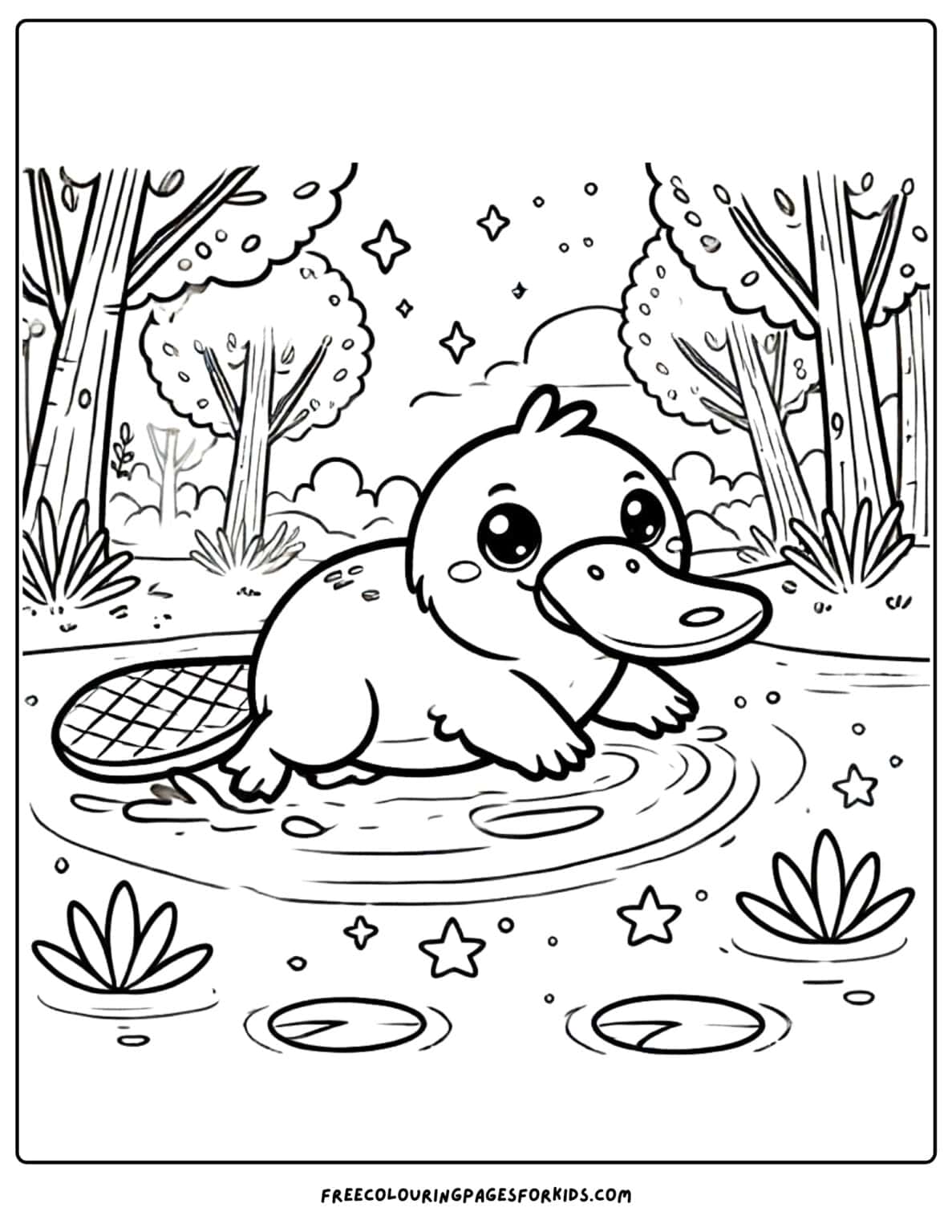 23 Australian Animal Coloring Pages