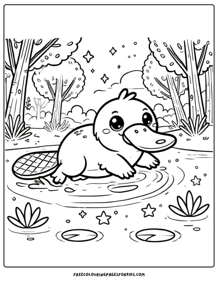 23 Australian Animal Coloring Pages