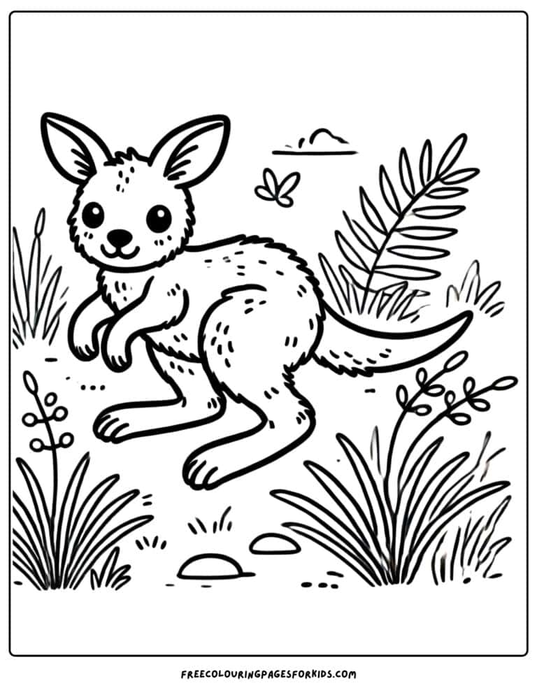 23 Australian Animal Coloring Pages