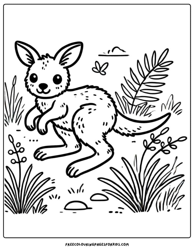 23 Australian Animal Coloring Pages