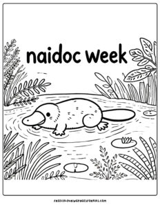 NAIDOC Week Colouring Pages