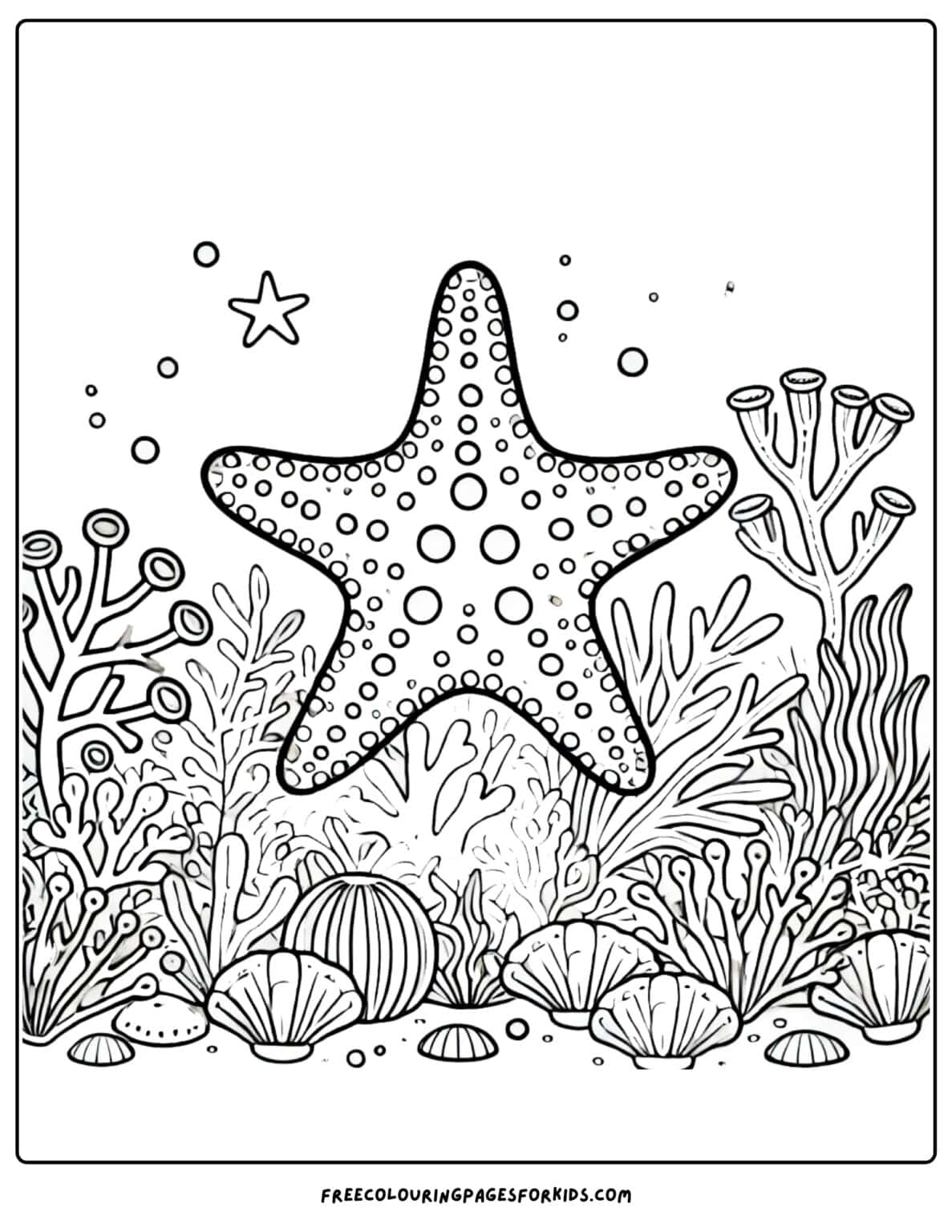16 Starfish Coloring Pages - Coloring For Kids