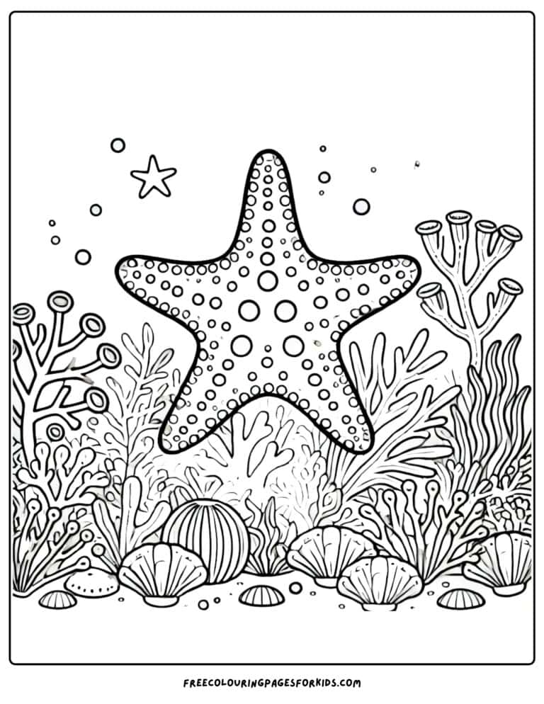 16 Starfish Coloring Pages - Coloring For Kids
