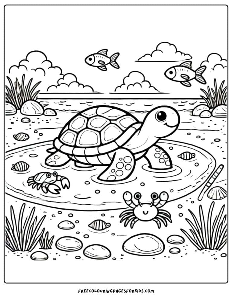 18 Turtle Coloring Pages - Coloring For Kids