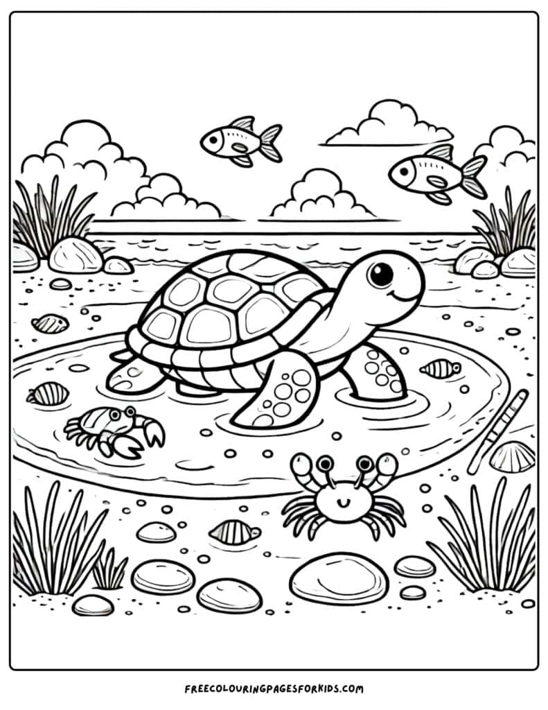 Tide Pool Coloring Pools Ocean Activities Worksheets Clipart Zones ...
