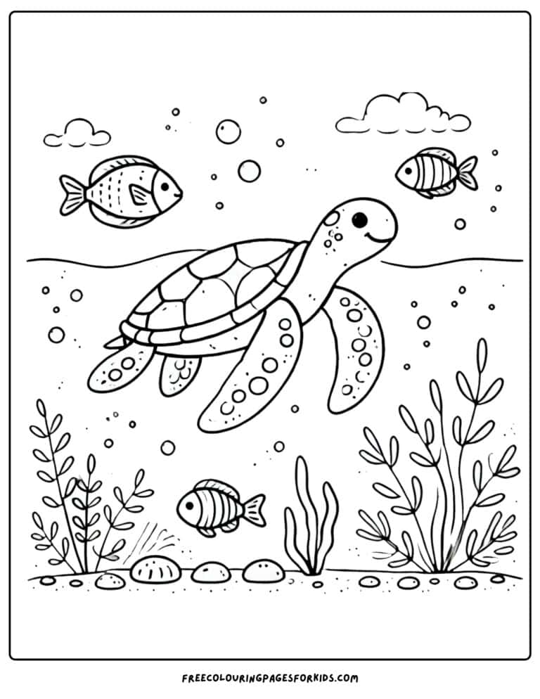 18 Turtle Coloring Pages - Coloring For Kids