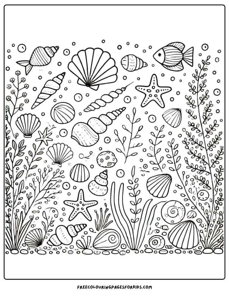 31 Shell Coloring Pages