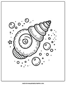 31 Shell Coloring Pages