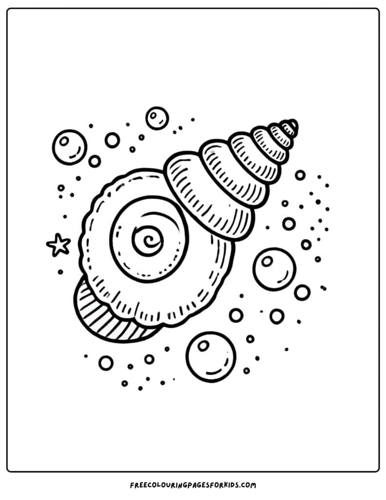 31 Shell Coloring Pages