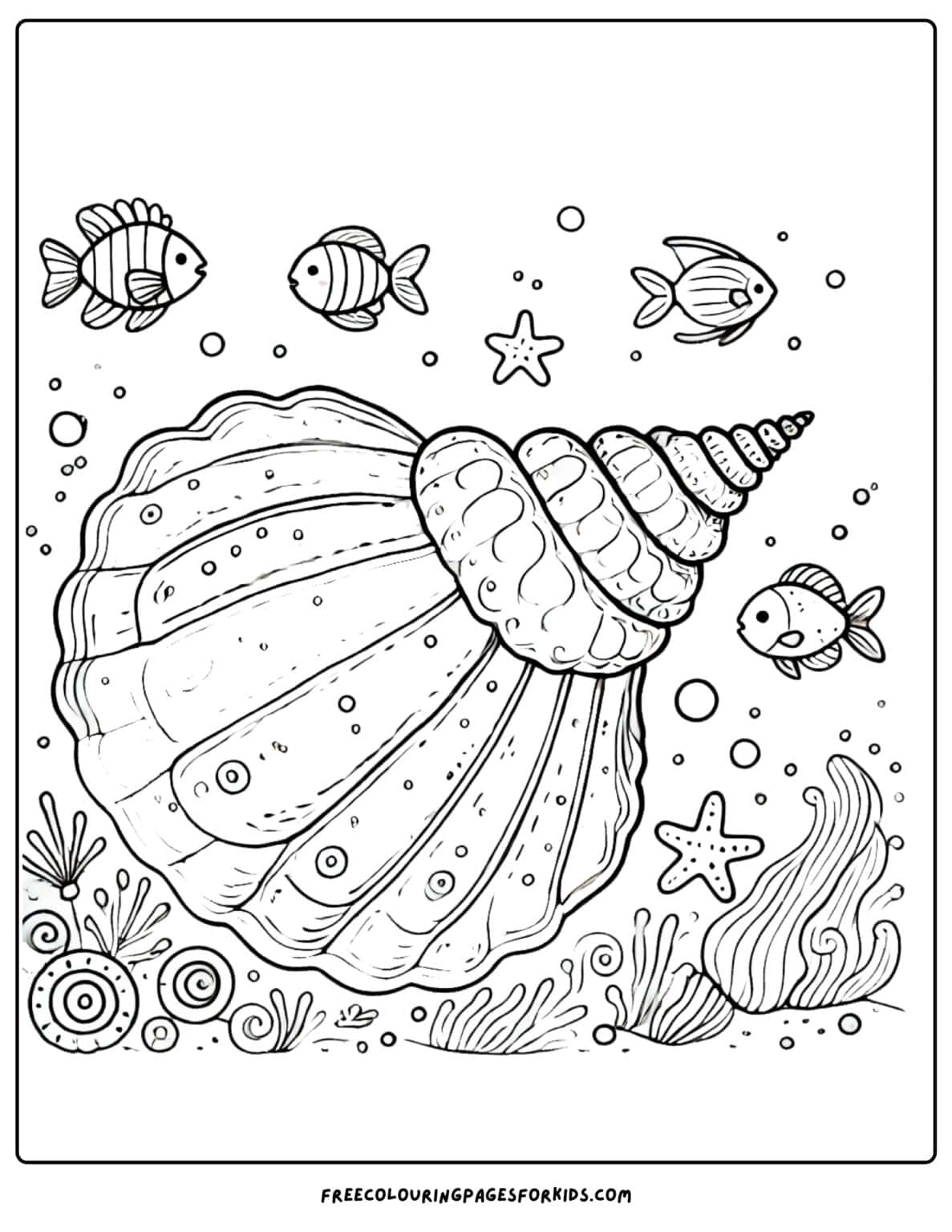31 Shell Coloring Pages - Coloring For Kids