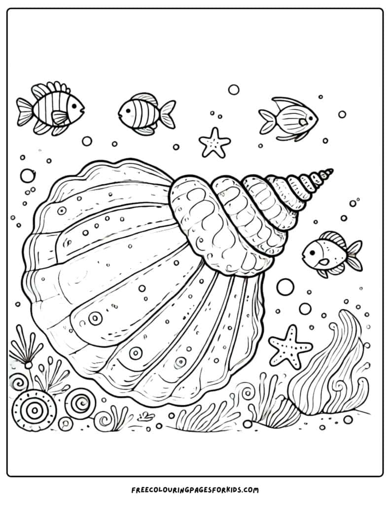 31 Shell Coloring Pages