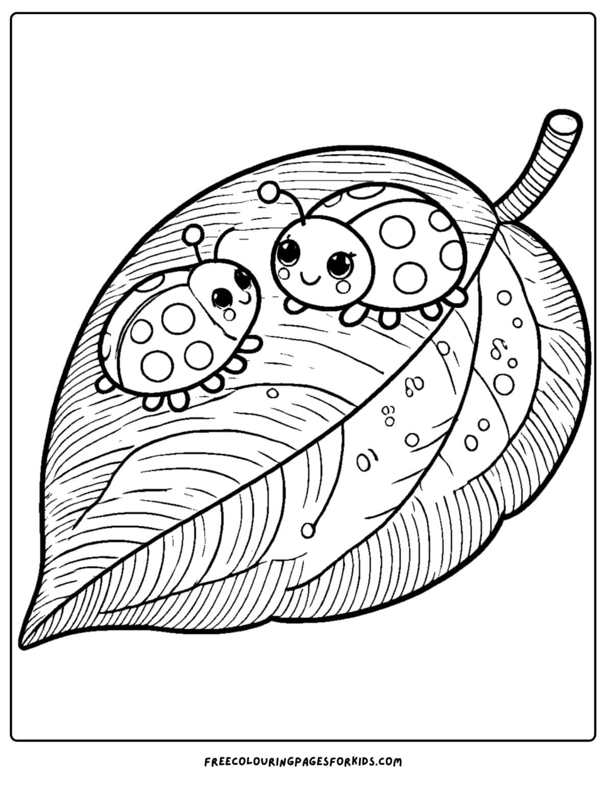 30 Bug and Insect Coloring Pages