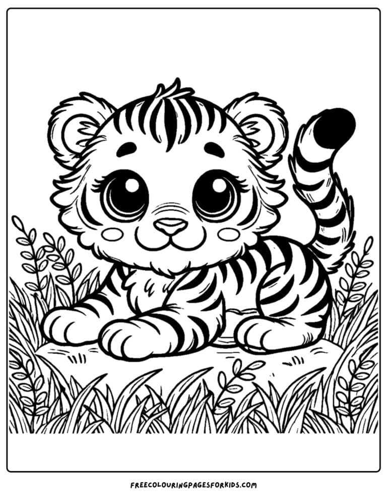 41 Zoo Animal Coloring Pages