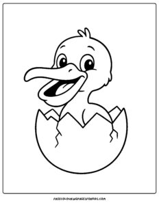 35 Pelican Coloring Pages
