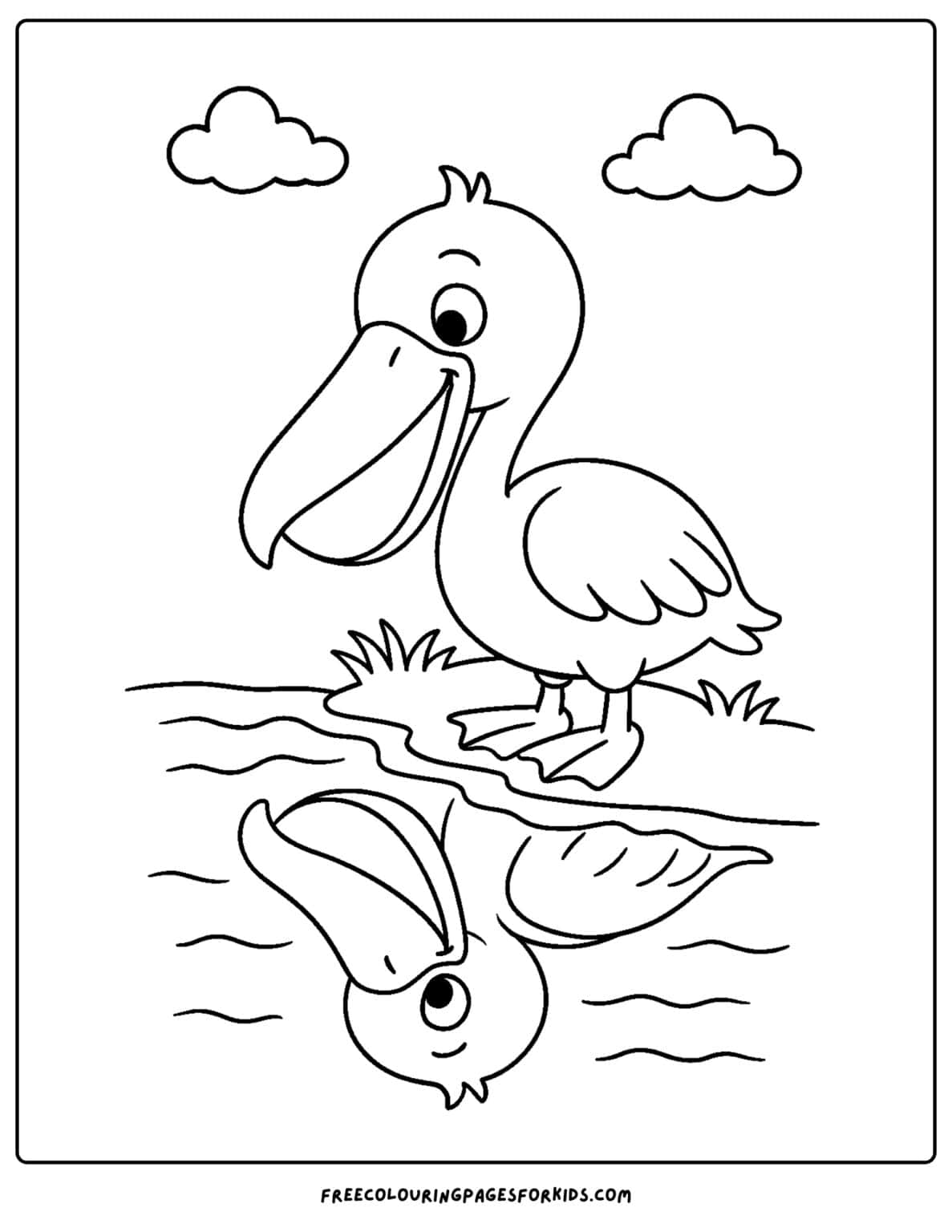 35 Pelican Coloring Pages