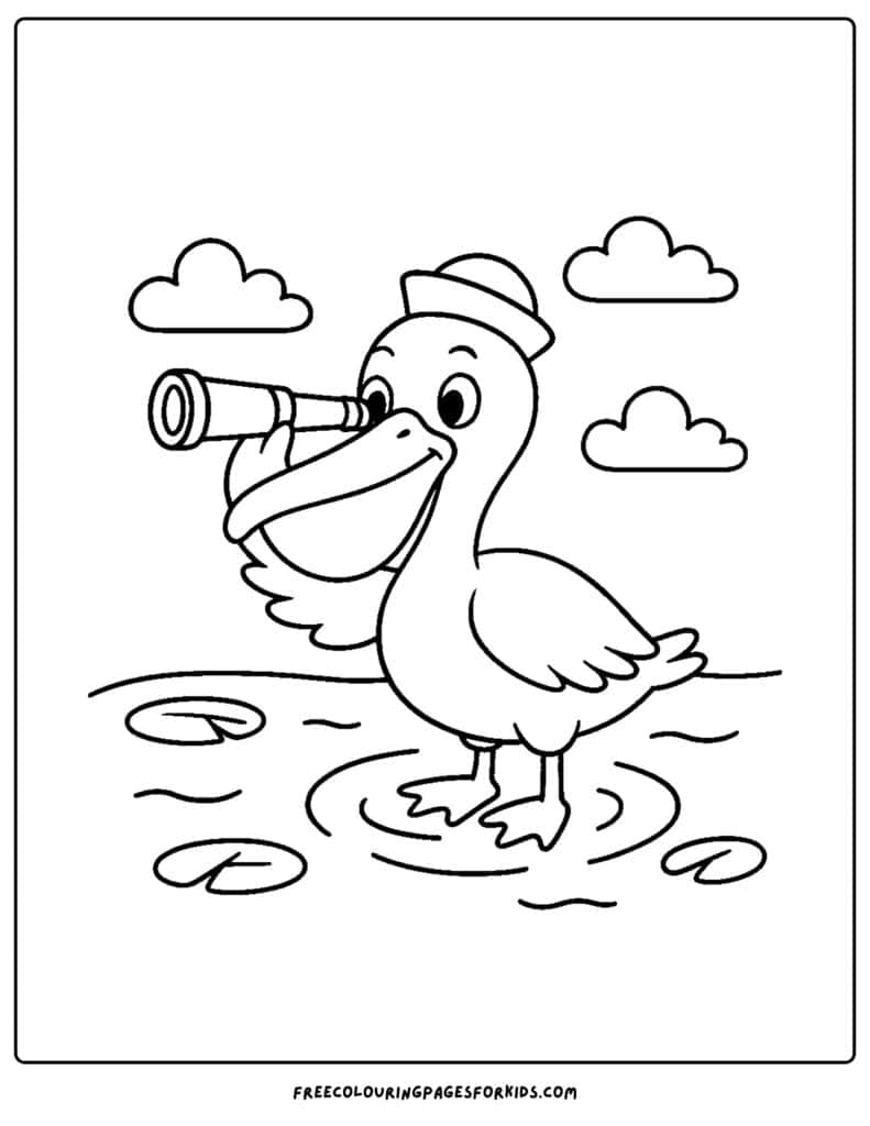35 Pelican Coloring Pages