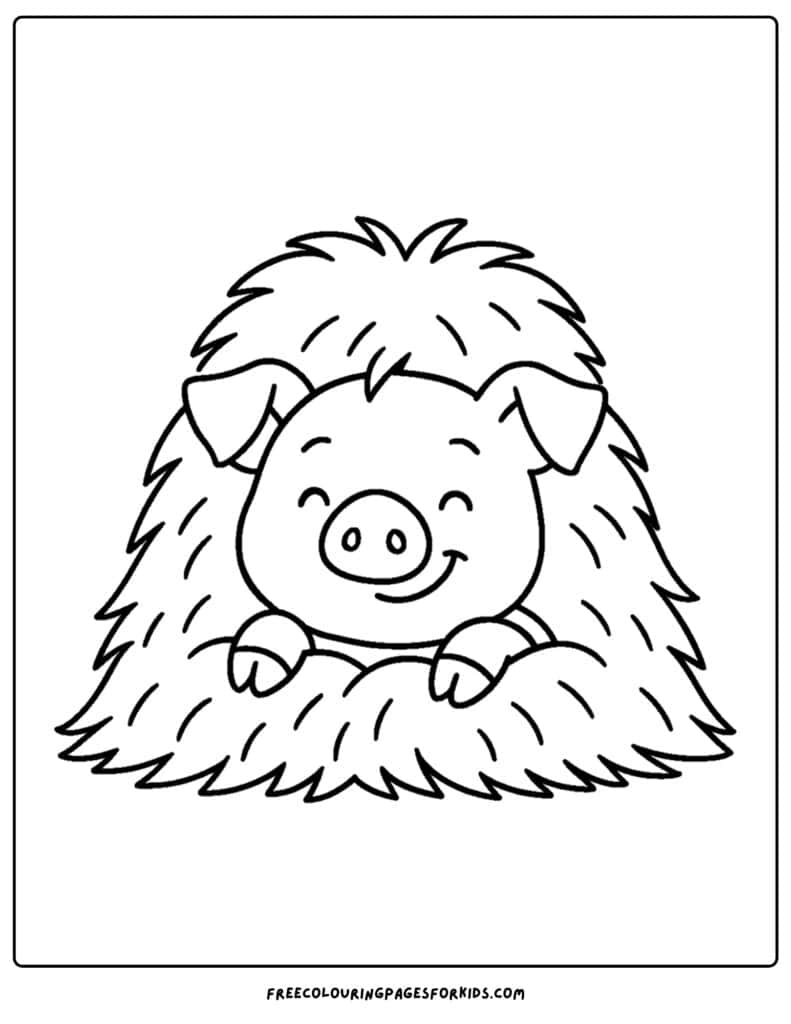 65 Pig Coloring Pages