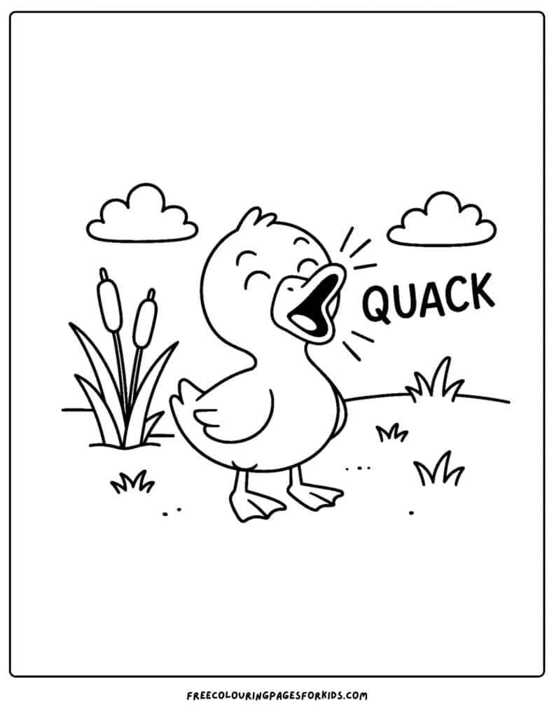 Duck Coloring Pages
