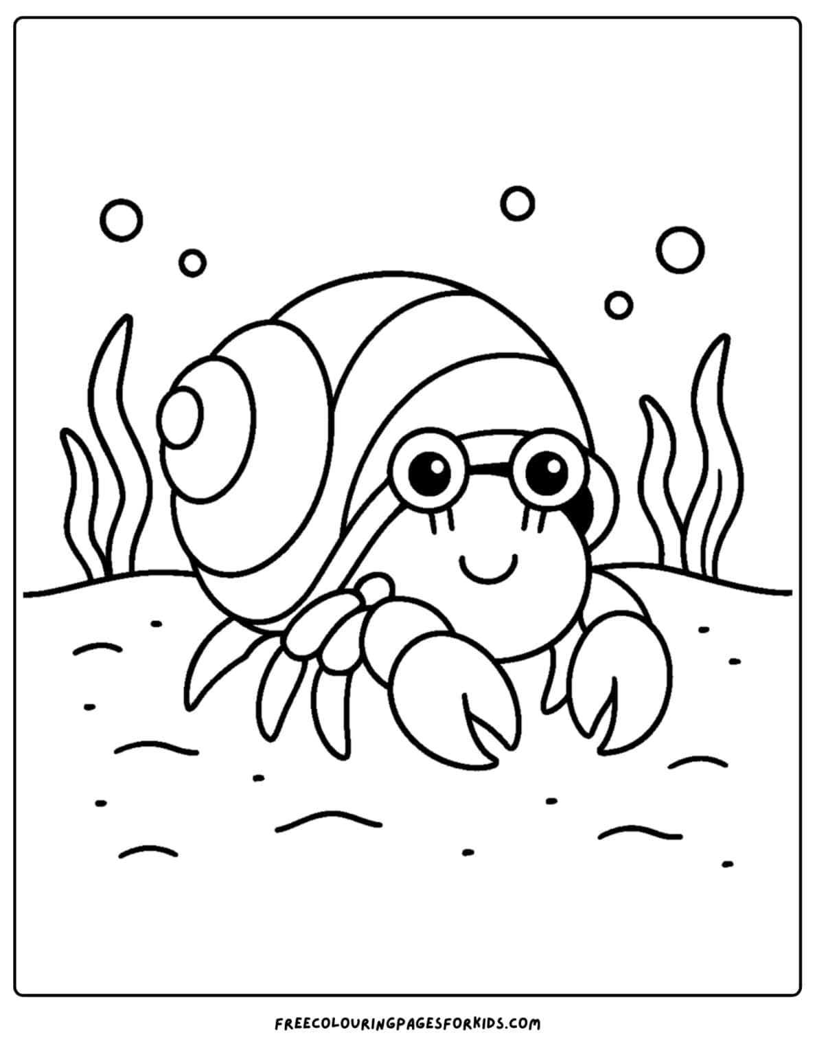 Shell Coloring Pages